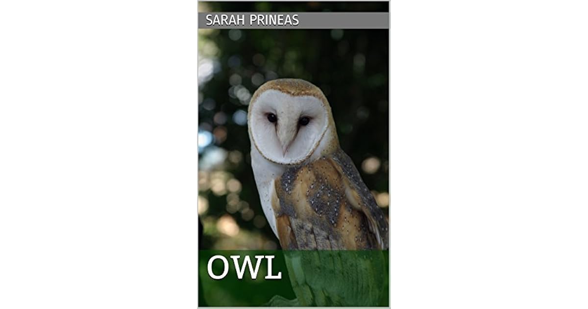 OWL: A Winterling story about Fer and Rook by Sarah Prineas