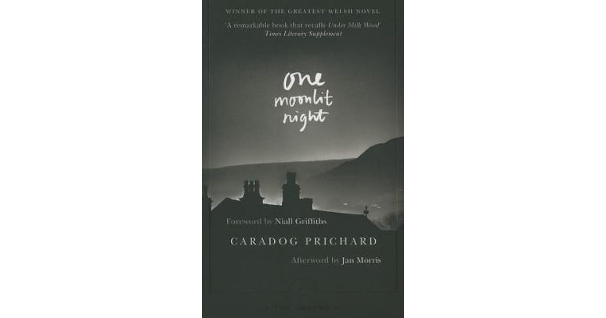 One Moonlit Night by Caradog Prichard
