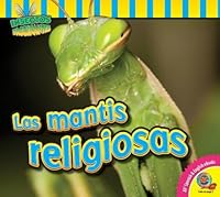 Praying Mantises by Aaron Carr