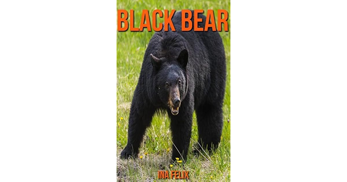 Black Bear: Children Book of Fun Facts & Amazing Photos on Animals in ...