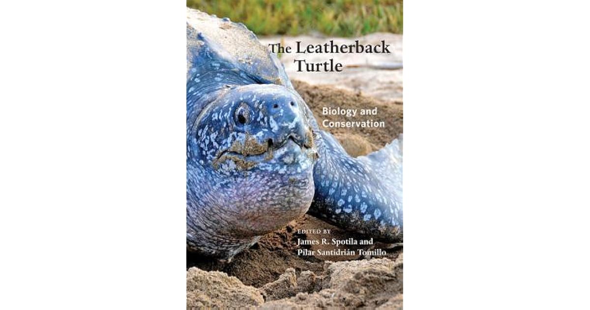 The Leatherback Turtle: Biology and Conservation by James R. Spotila