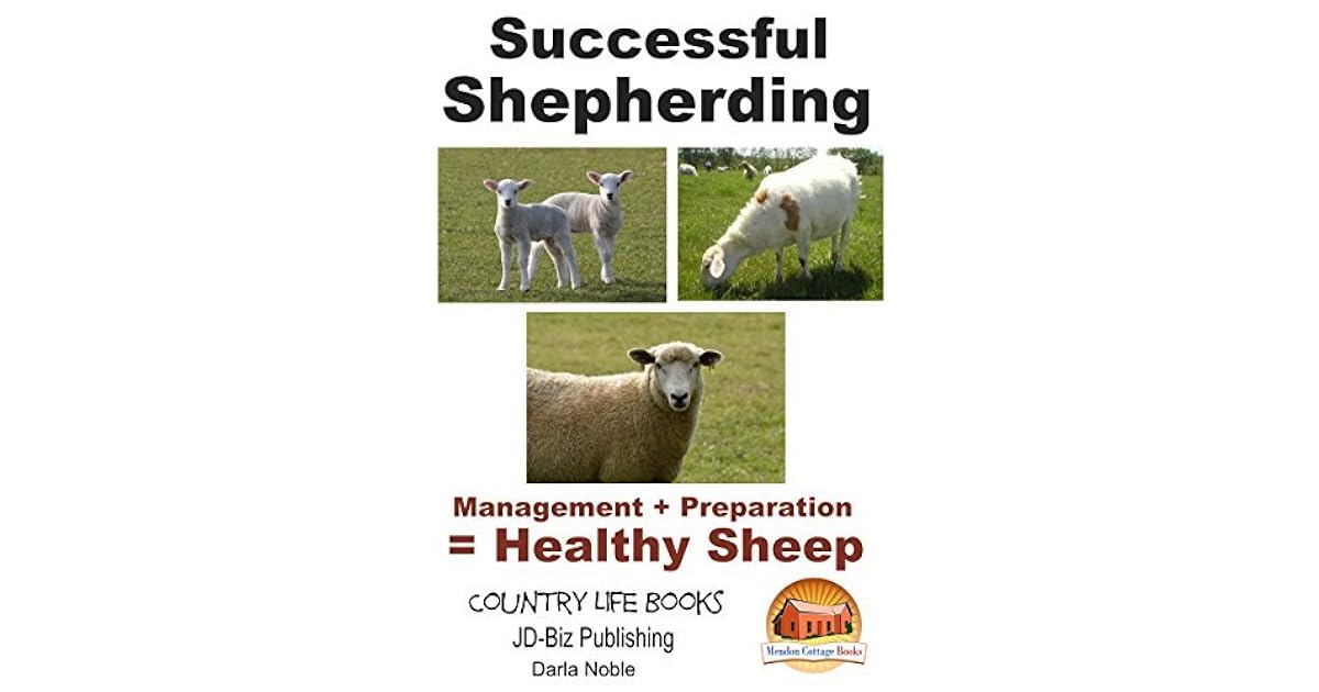 Successful Shepherding - Management + Preparation = Healthy Sheep by ...