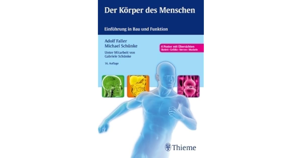 Der Körper Des Menschen. Einführung In Bau Und Funktion by Adolf Faller