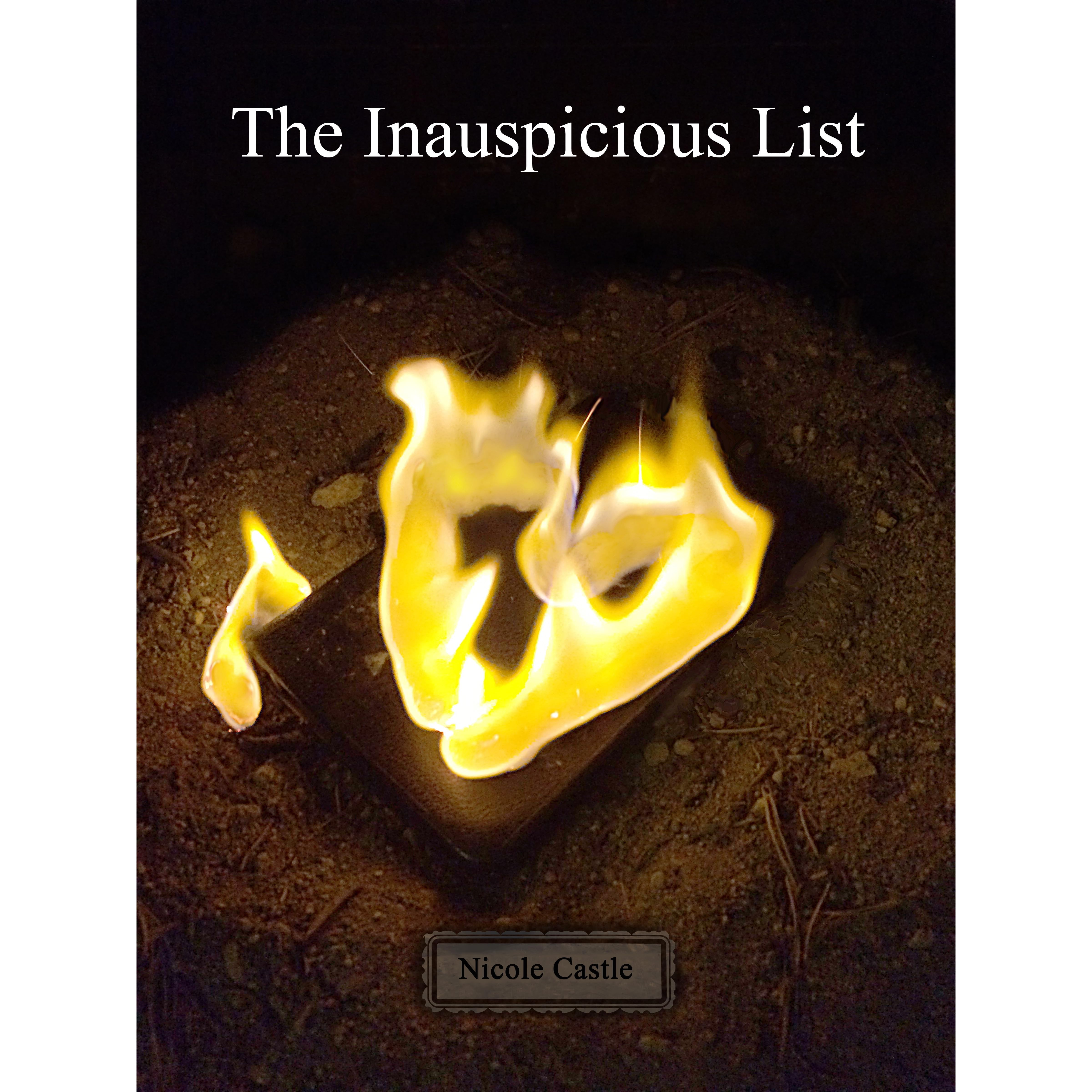 The Inauspicious List (Chance Assassin, #3) by Nicole Castle — Reviews ...
