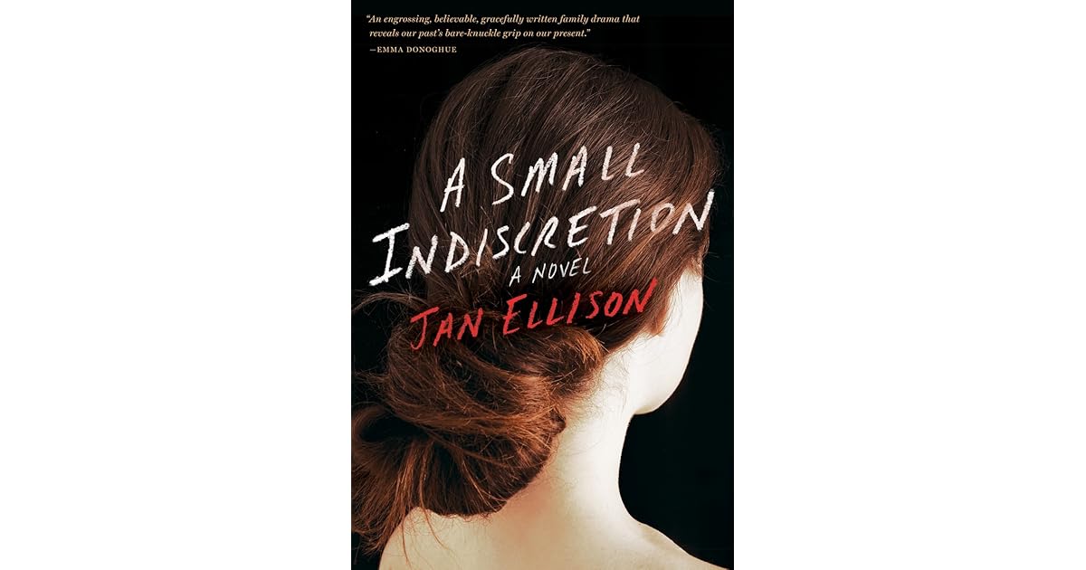 A Small Indiscretion by Jan Ellison