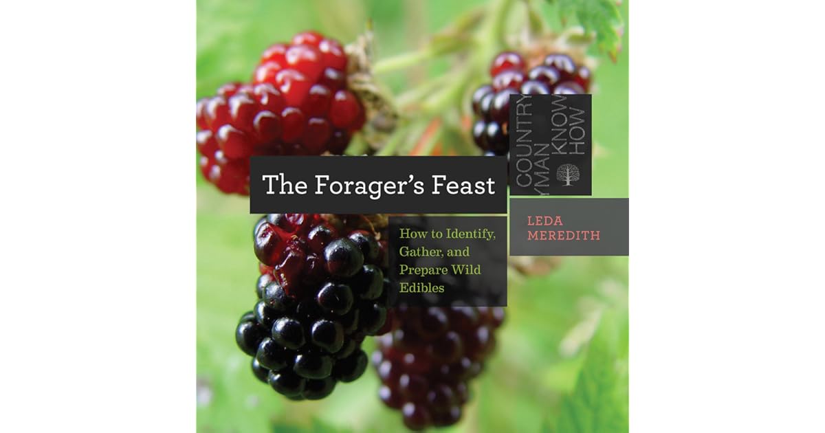 The Forager's Feast: How to Identify, Gather, and Prepare Wild Edibles ...