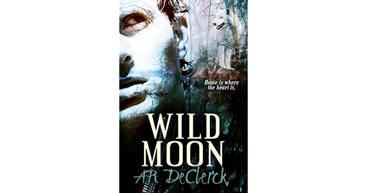 Wild Moon by A.R. DeClerck