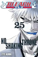 Bleach, Volume 25 by Tite Kubo