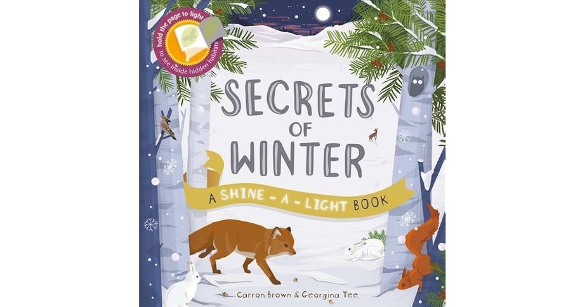 Secrets of Winter by Carron Brown