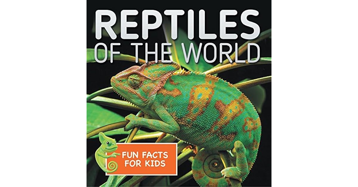 Reptiles of the World Fun Facts for Kids: Reptile Books for Children ...