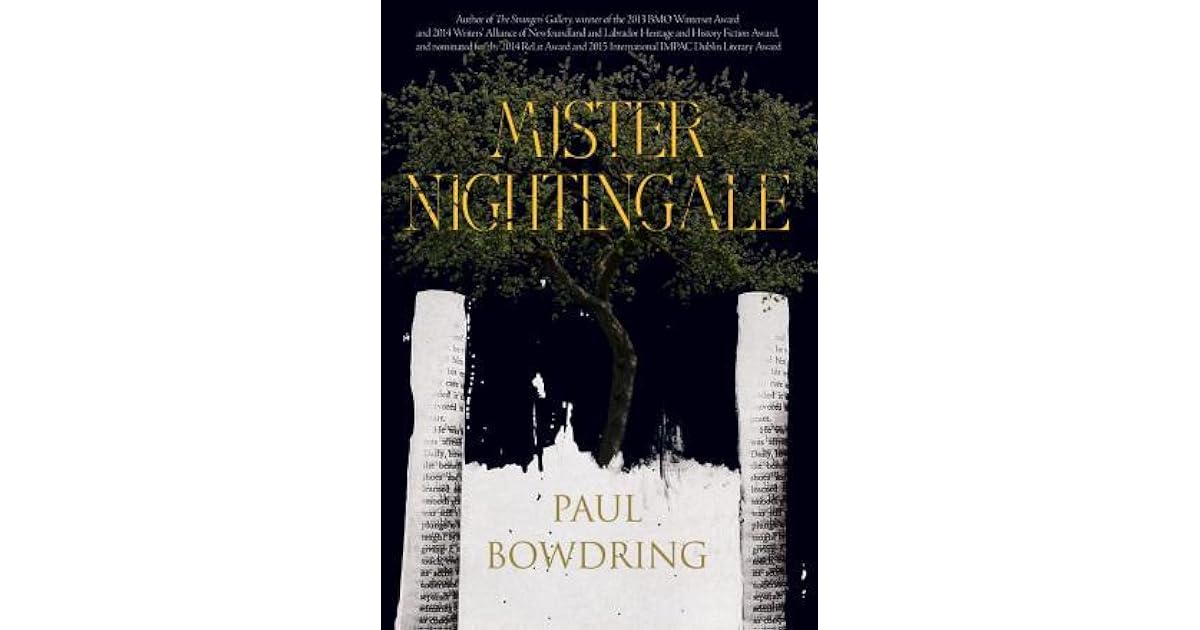 Mister Nightingale by Paul Bowdring
