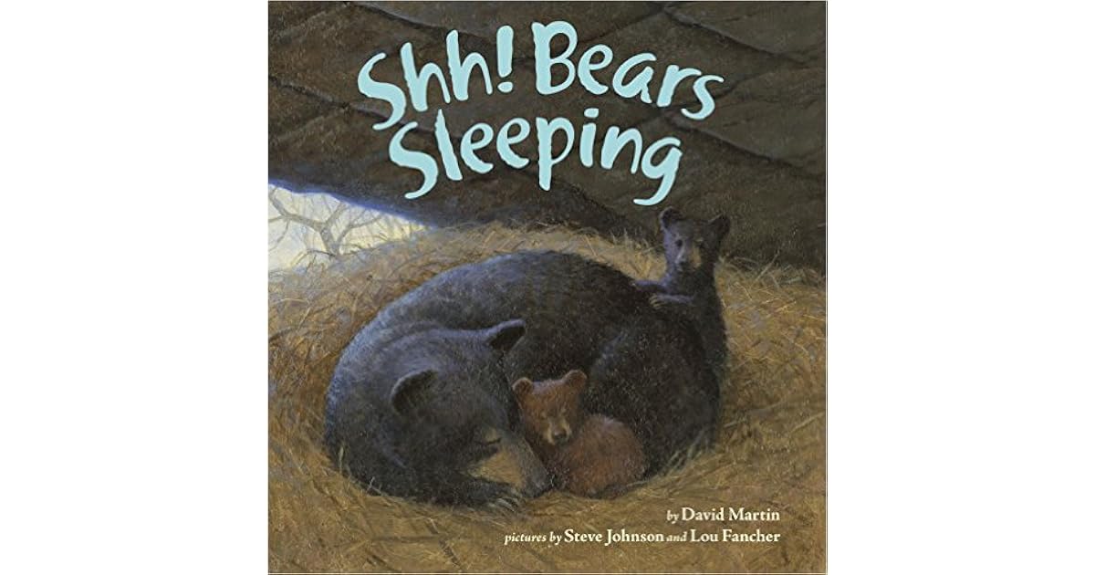Shh! Bears Sleeping by David Martin