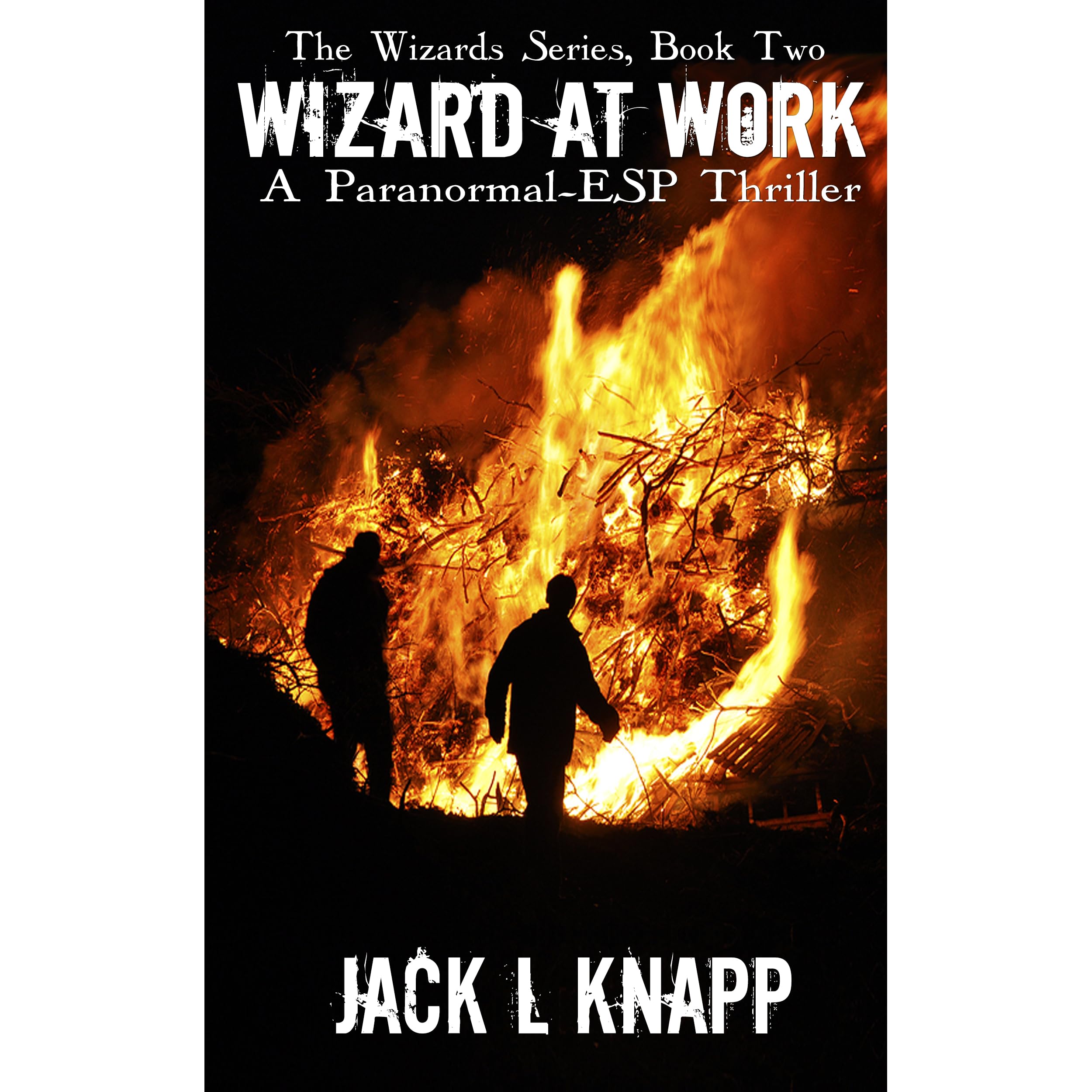Wizard at Work (Wizards Trilogy, #2) by Jack L. Knapp — Reviews ...