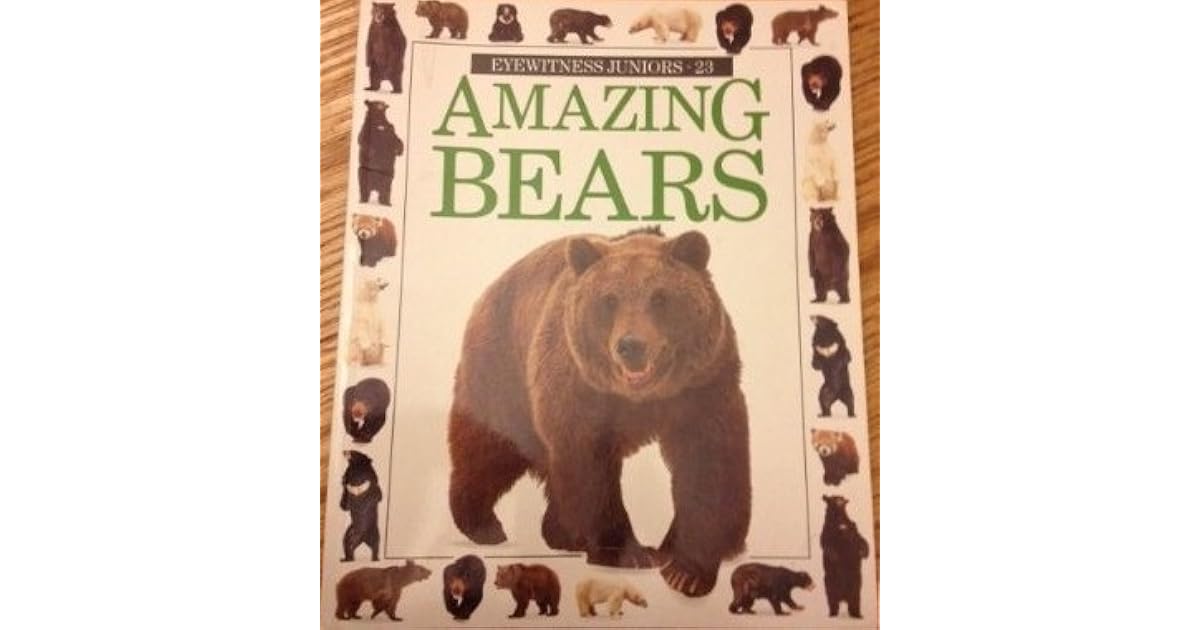 Amazing Bears (Eyewitness Juniors #23) by Theresa Greenaway
