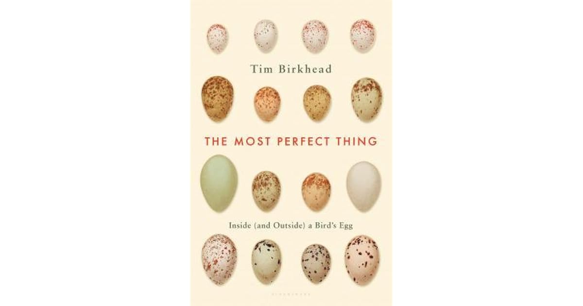 The Most Perfect Thing: Inside and Outside a Bird's Egg by Tim Birkhead