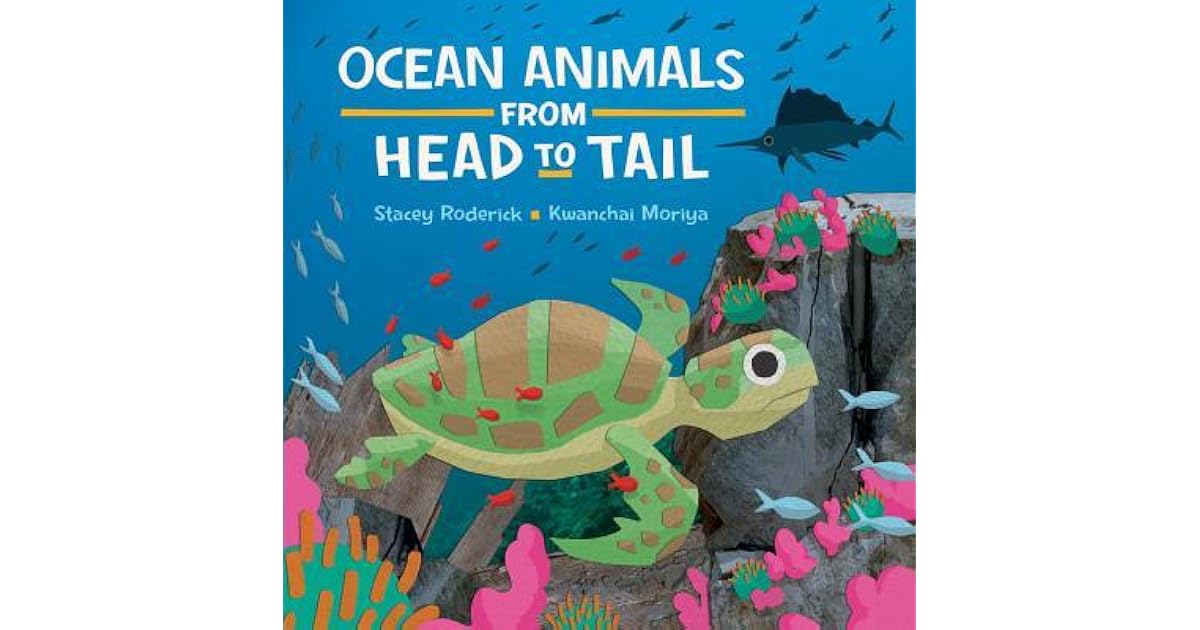 Book giveaway for Ocean Animals from Head to Tail (Head to Tail, 2) by ...