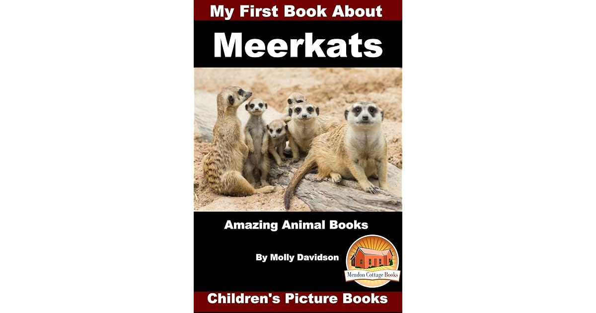 My First Book about Meerkats: Amazing Animal Books - Children's Picture ...