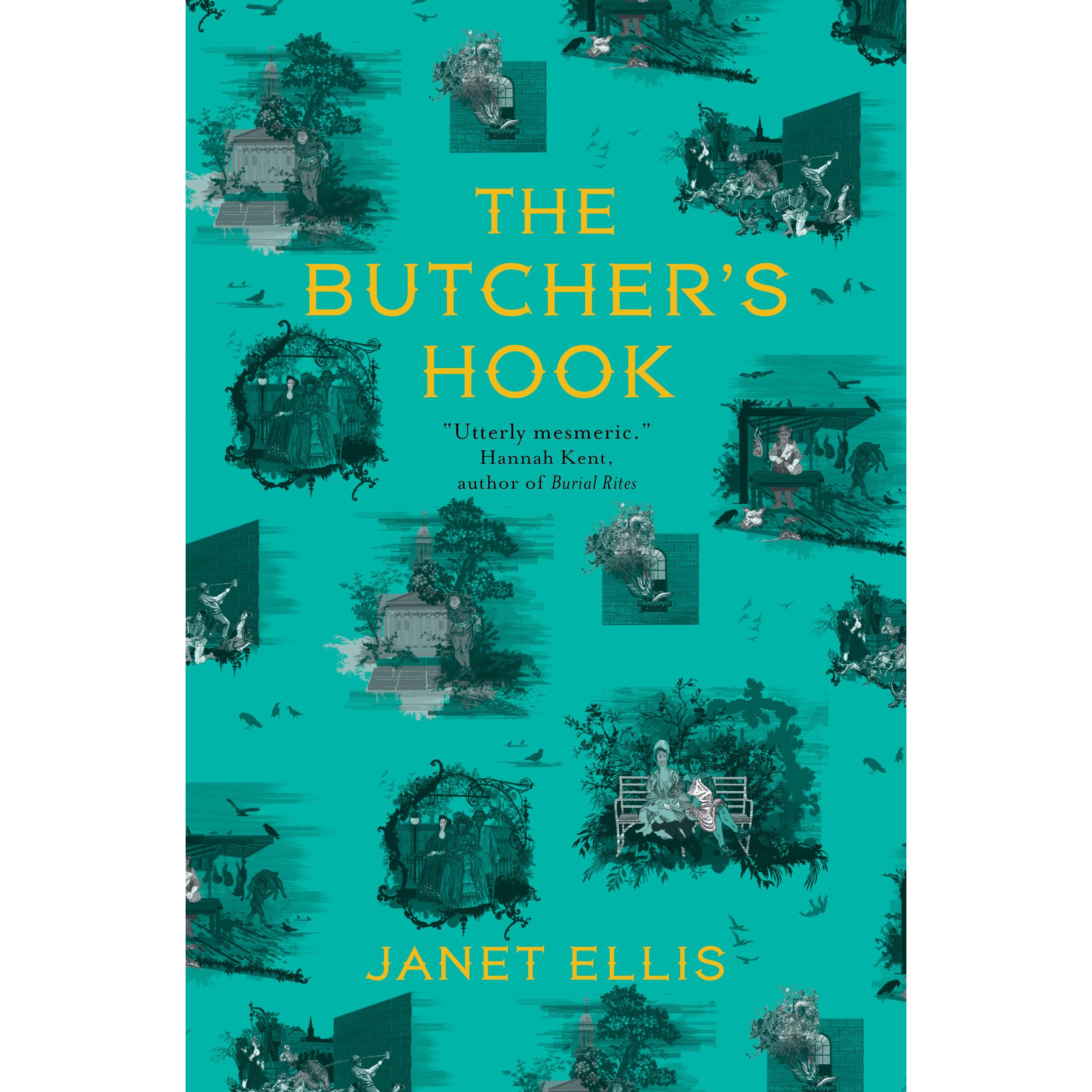 The Butcher's Hook by Janet Ellis — Reviews, Discussion, Bookclubs, Lists