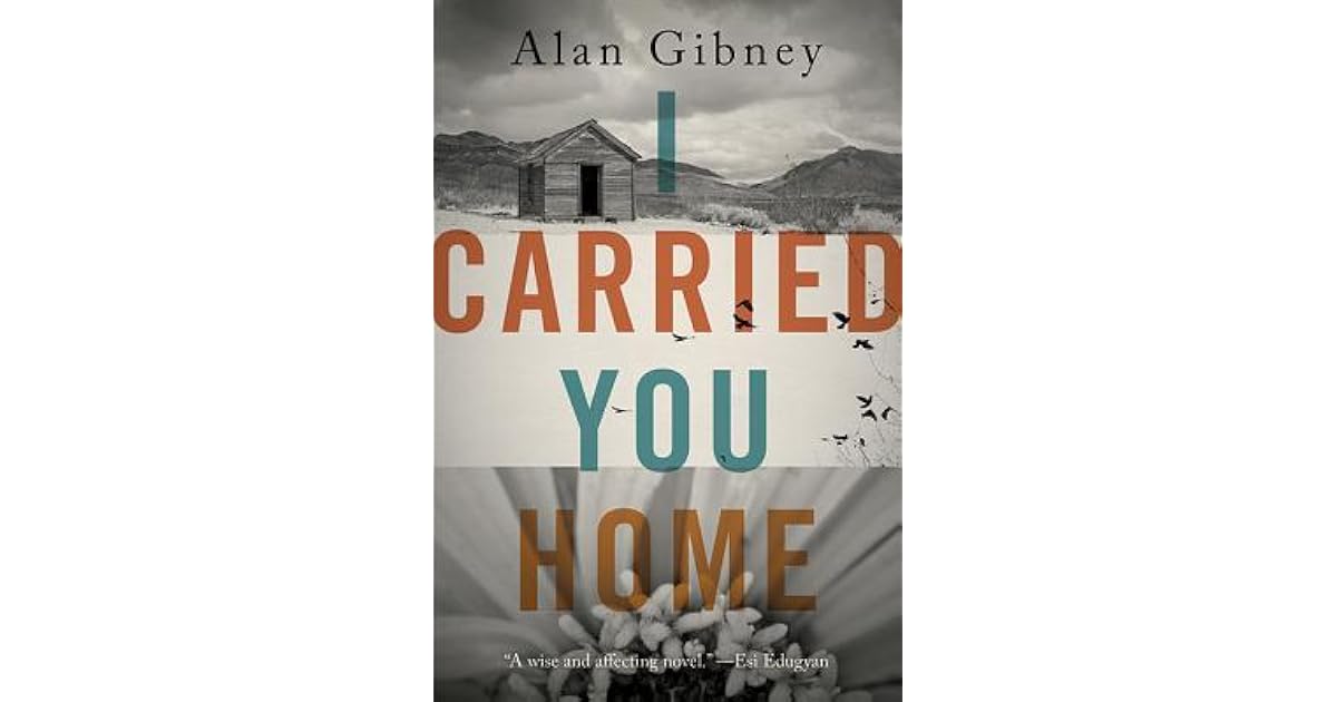 I Carried You Home by Alan Gibney
