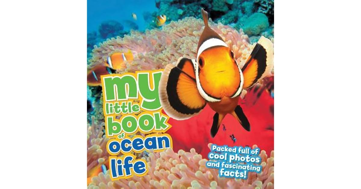My Little Book of Ocean Life: Packed full of cool photos and ...