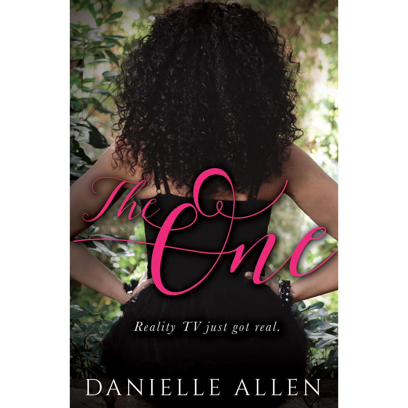 The One by Danielle Allen — Reviews, Discussion, Bookclubs, Lists