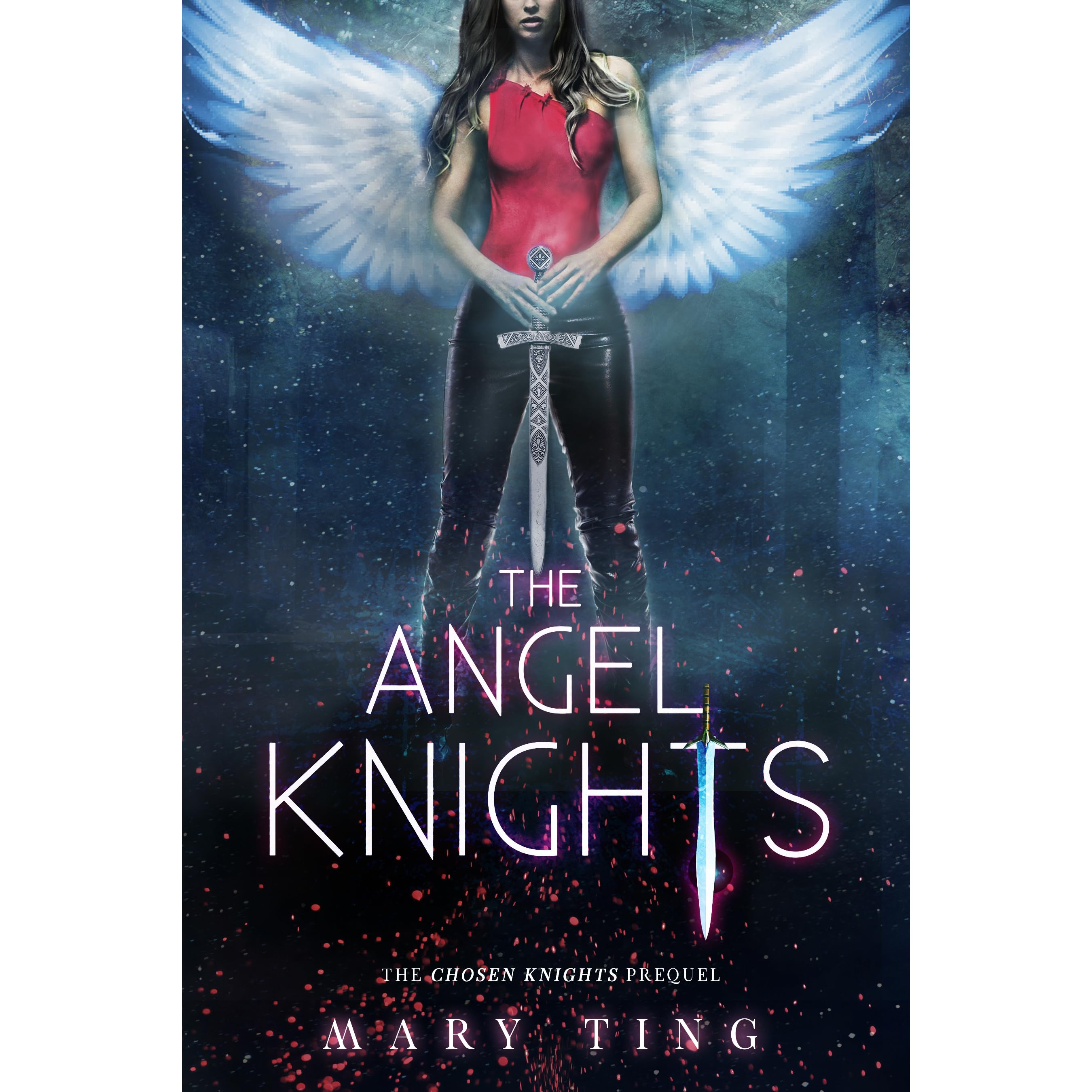 The Angel Knights (The Angel Knights, #0.5) by Mary Ting — Reviews ...