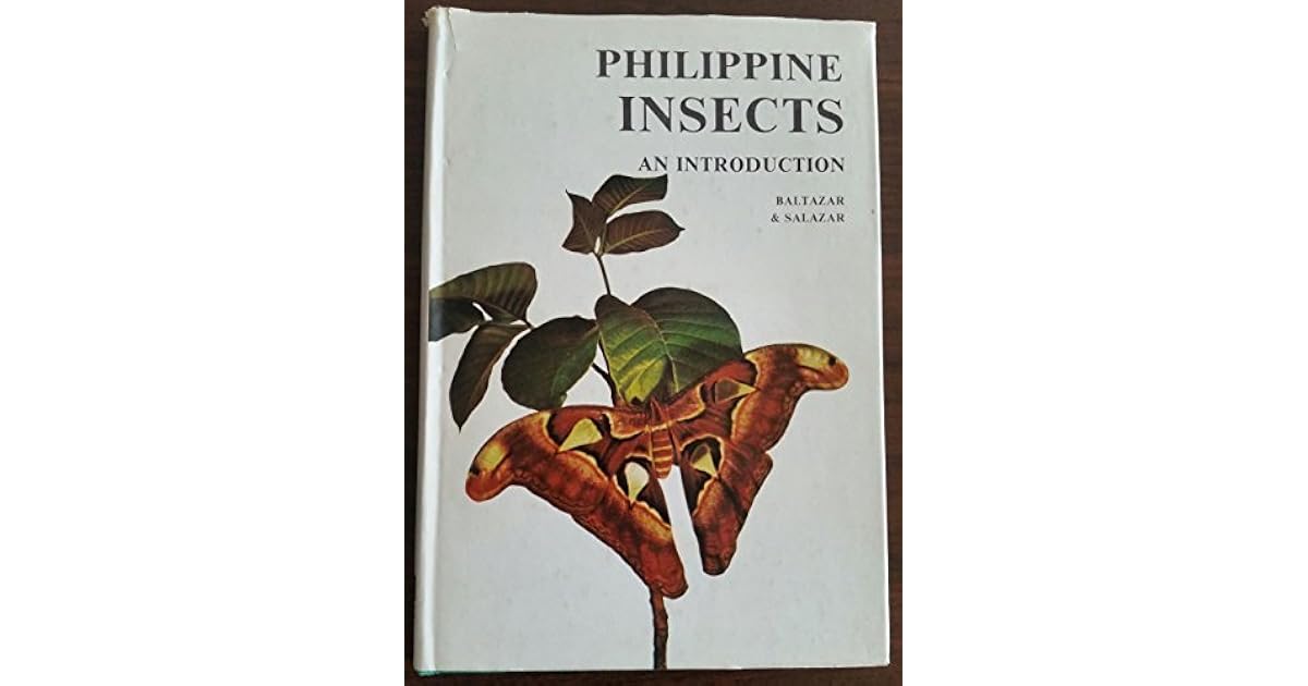 Philippine Insects by Clare R. Baltazar