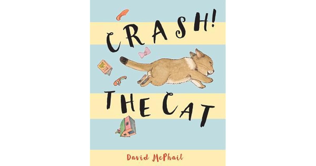 Crash! The Cat by David McPhail