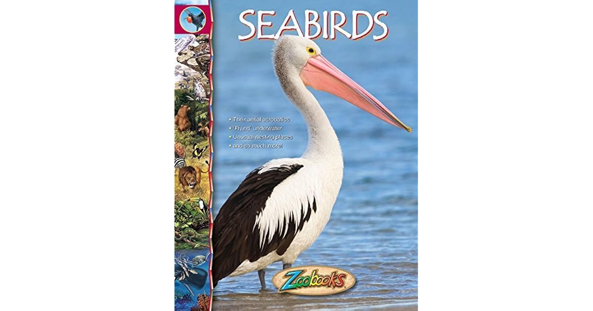 Zoobooks Seabirds by Wildlife Education Ltd.