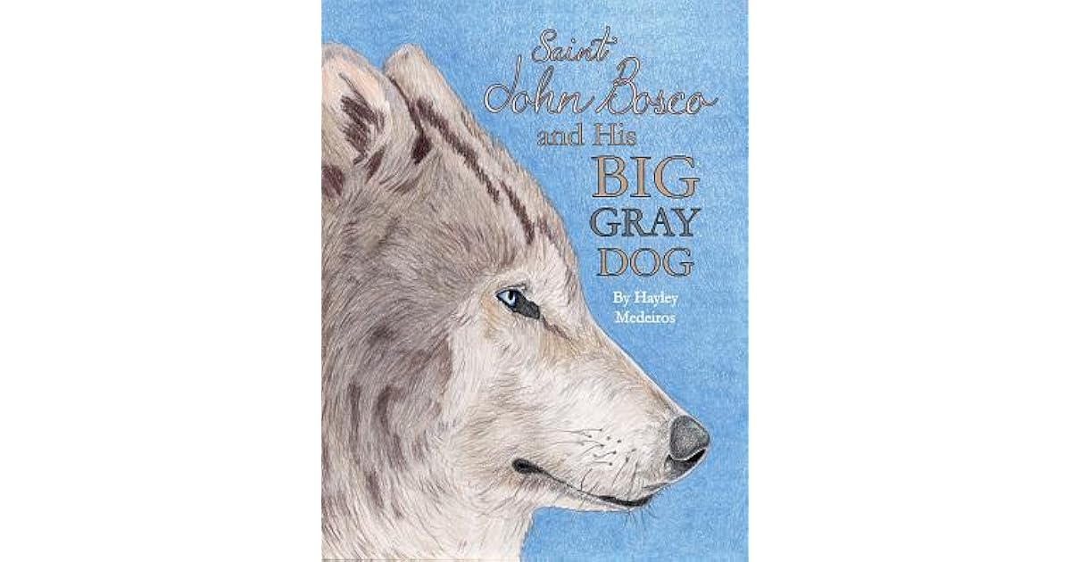 St. John Bosco and His Big Gray Dog by Hayley Medeiros