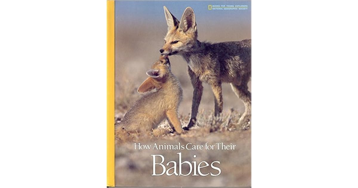 How Animals Care for Their Babies by Roger B. Hirschland