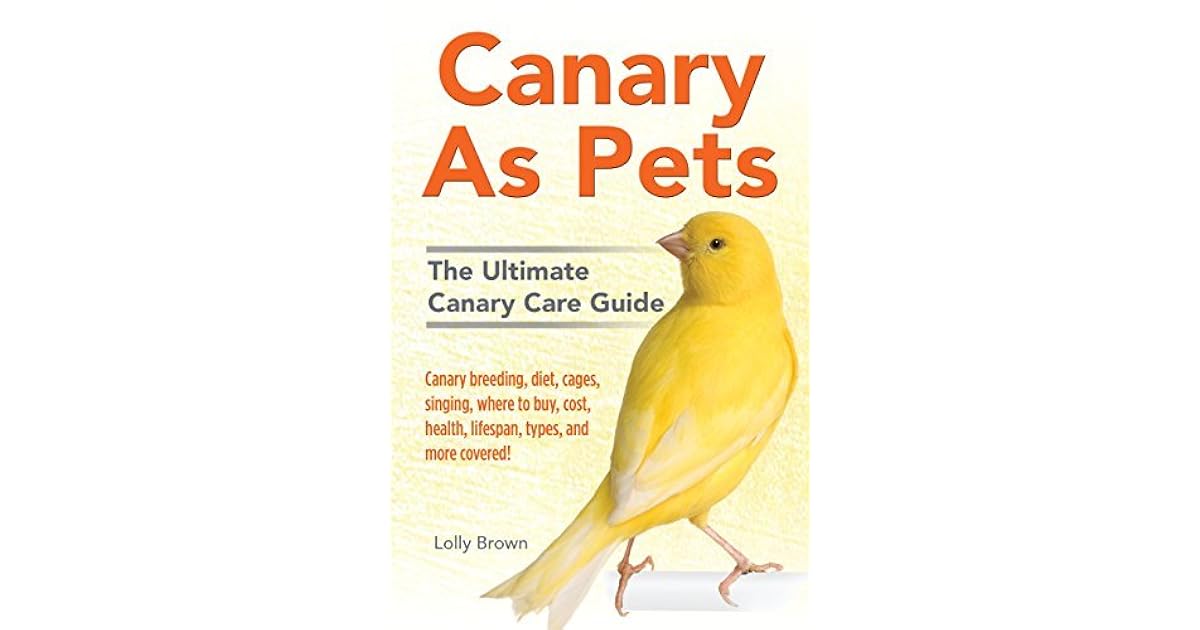 Canary As Pets: Canary breeding, diet, cages, singing, where to buy ...