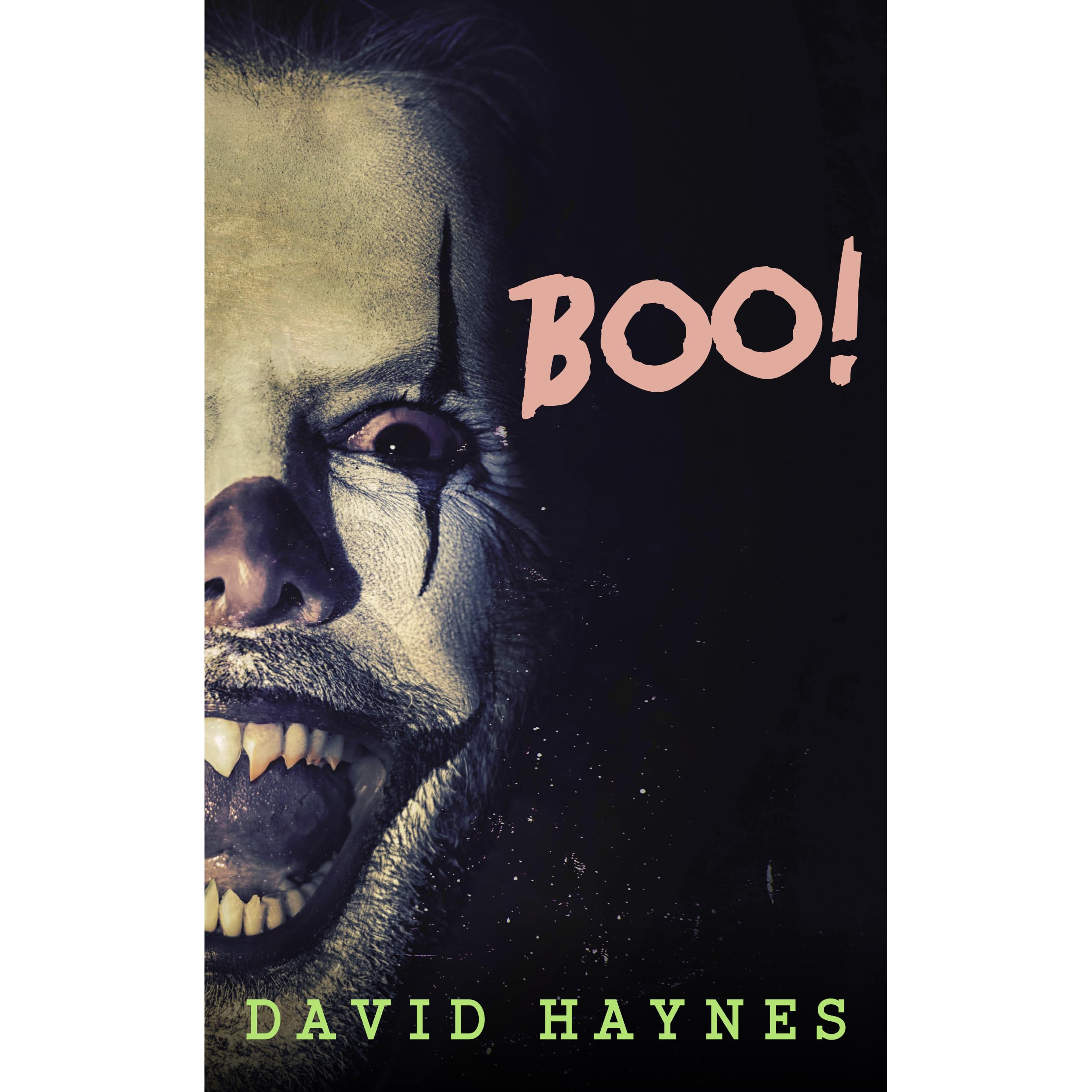 Boo! by David Haynes — Reviews, Discussion, Bookclubs, Lists