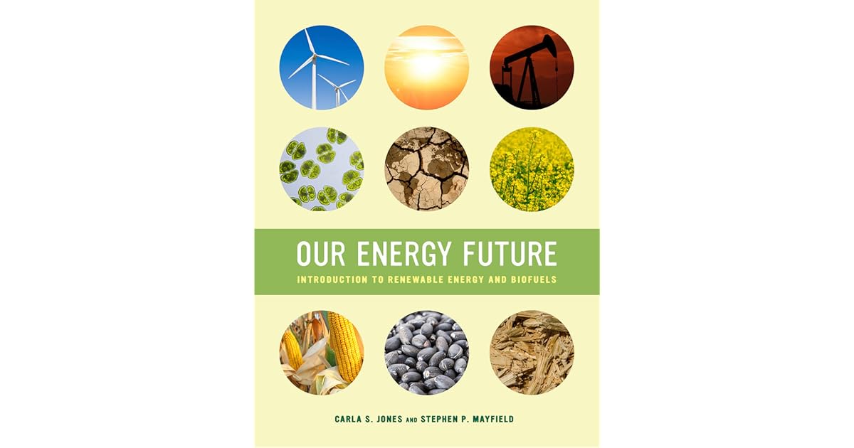 Our Energy Future: Introduction to Renewable Energy and Biofuels by ...