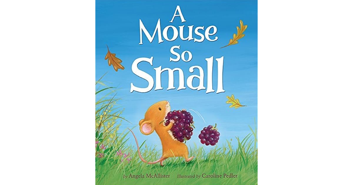 A Mouse So Small by Angela McAllister
