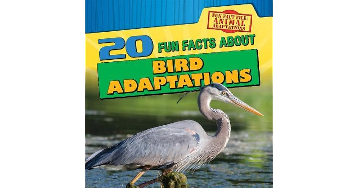 20 Fun Facts about Bird Adaptations by Sarah Machajewski