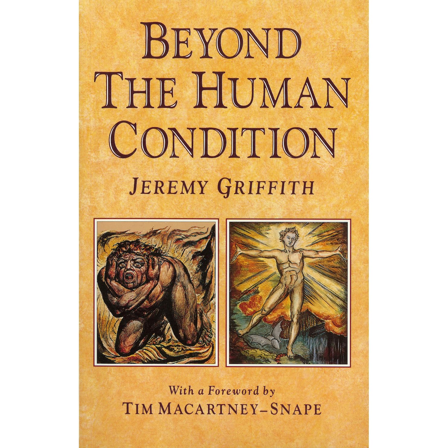 Beyond The Human Condition by Jeremy Griffith — Reviews, Discussion ...