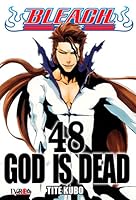 Bleach, Volume 48 by Tite Kubo