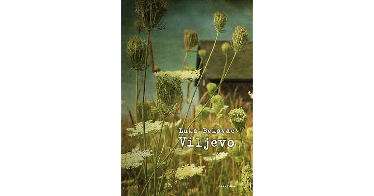 Viljevo by Luka Bekavac