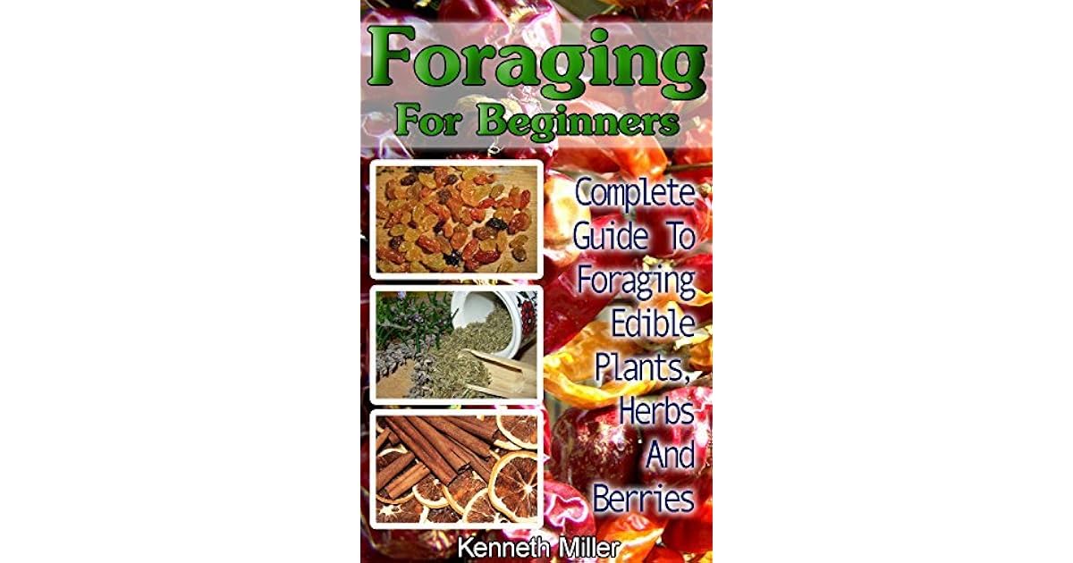 Foraging for Beginners: Complete Guide to Foraging Edible Plants, Herbs ...