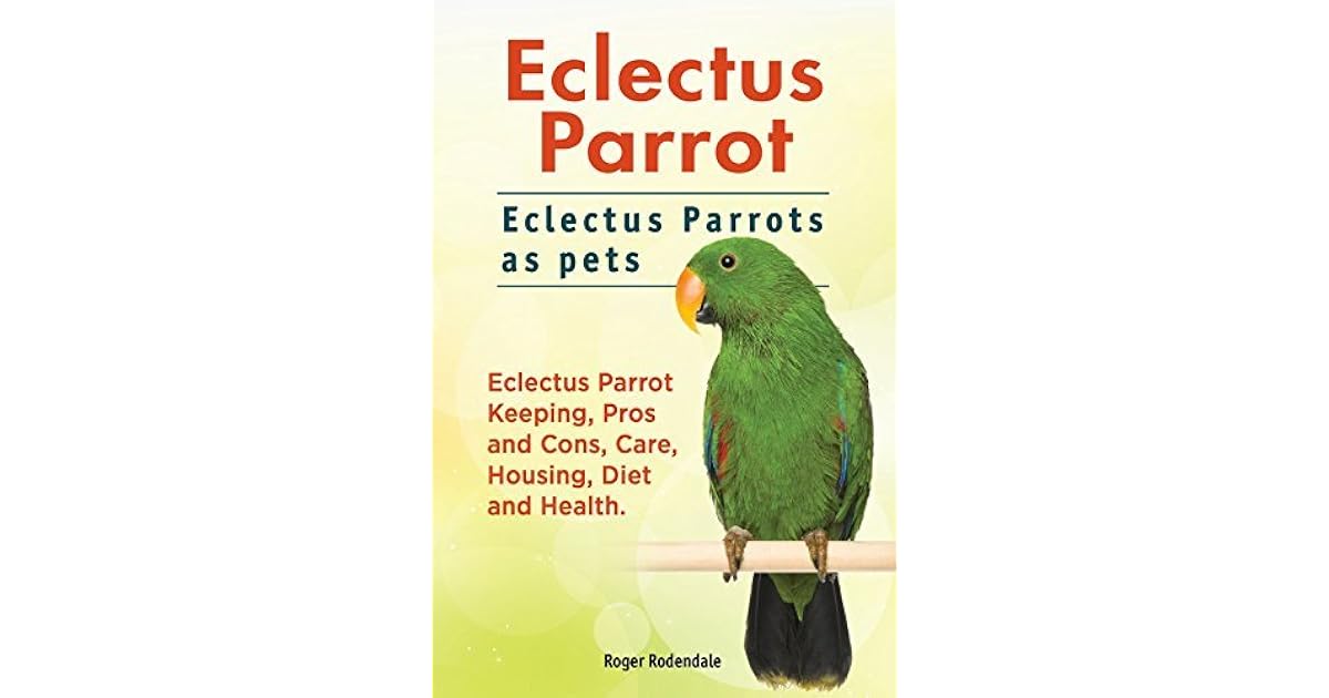 Eclectus Parrots. Eclectus Parrot care, keeping, pros and cons, housing ...