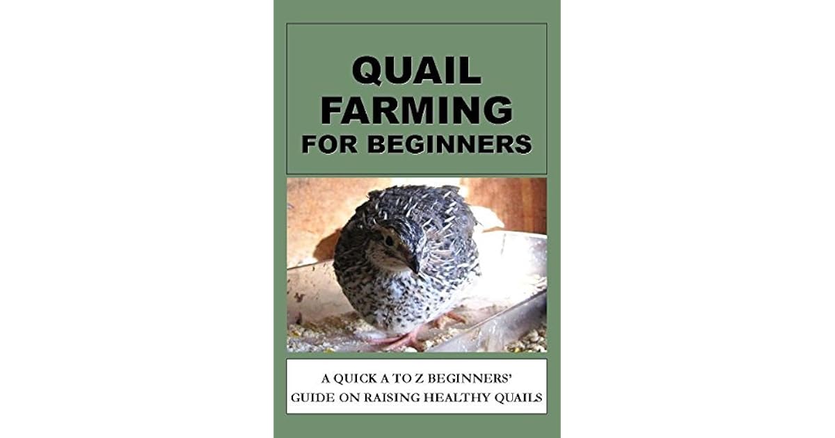 Quail Farming For Beginners: A Quick A To Z Beginners' Guide On Raising ...