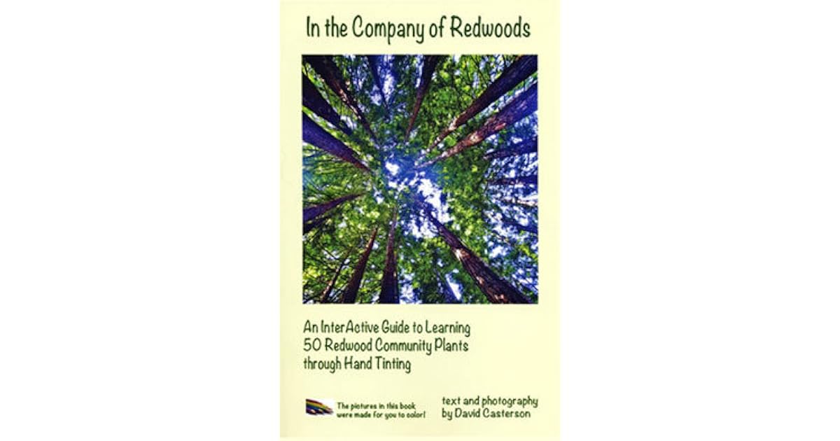In the Company of Redwoods by David Casterson