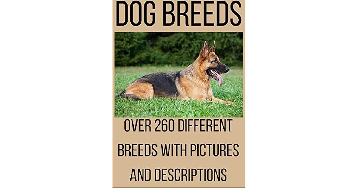 Dogs: Dog Breeds Over 250 Different Breeds With Pictures: Dog Breeds ...