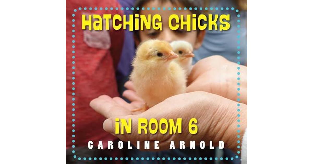 Hatching Chicks in Room 6 by Caroline Arnold