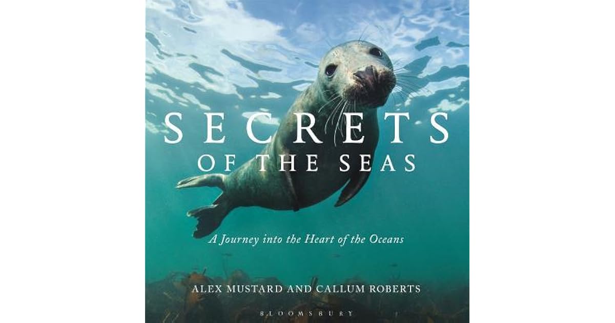 Secrets of the Seas: A Journey Into the Heart of the Oceans by Callum ...