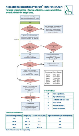 Neonatal Resuscitation Program Reference Chart by American Academy of ...