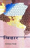 Bidhar by Bhalchandra Nemade