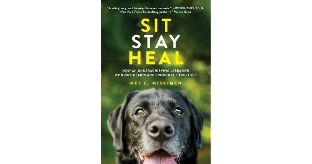 Sit Stay Heal: How an Underachieving Labrador Won Our Hearts and ...
