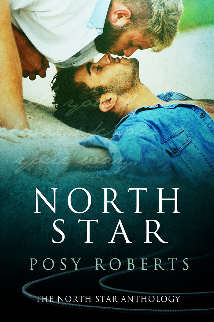 North Star by Posy Roberts — Reviews, Discussion, Bookclubs, Lists
